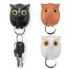 Creative Owl Wall Mounted Magnetic Key Holder - Funiyou